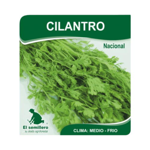 CILANTRO X 100 GR – AGROCENTRO EL TORO LIMITADA